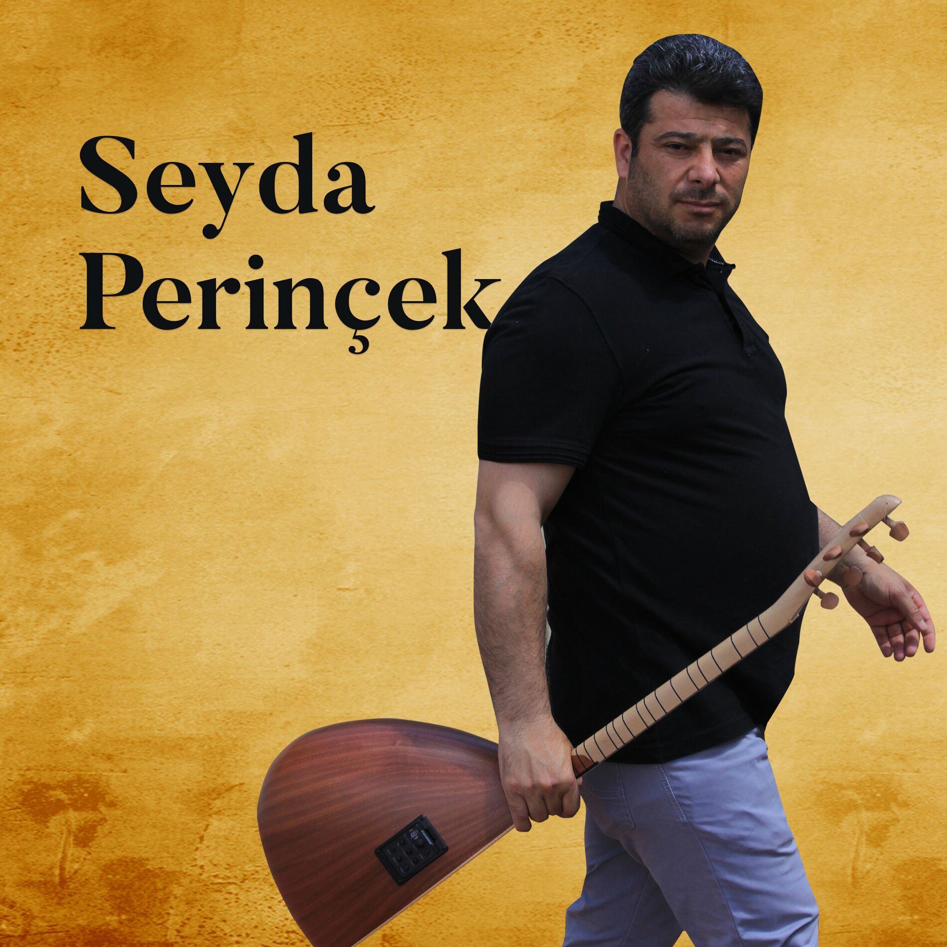 Seyda Perinçek Şarkıları - Şarkı Sözleri